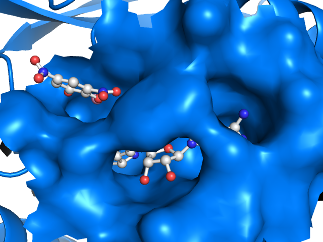 Structural Analysis at Home | How to display cavity and pocket in PyMOL
